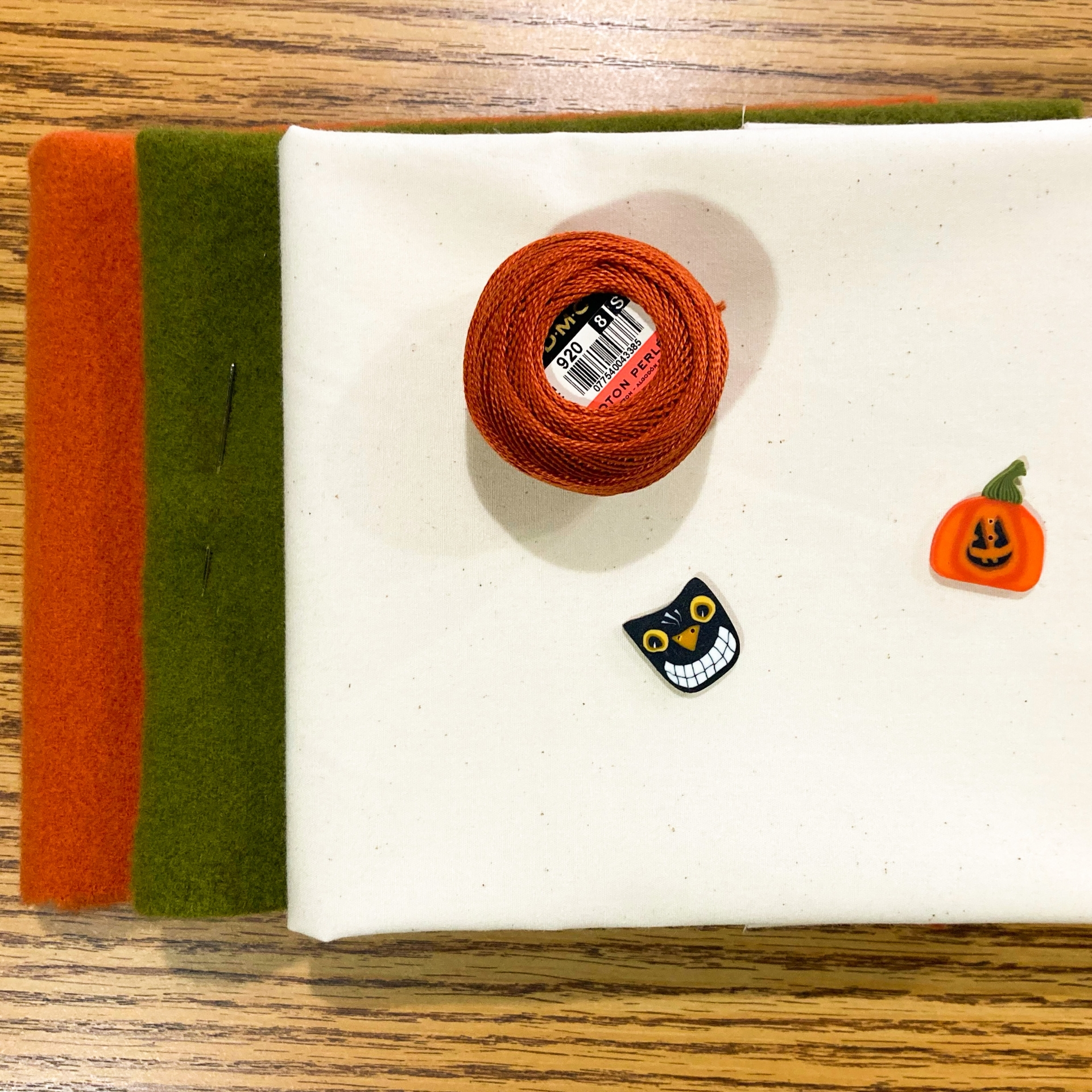 Pumpkin Patch Stitchery - Hand Embroidery Pattern - Shipped